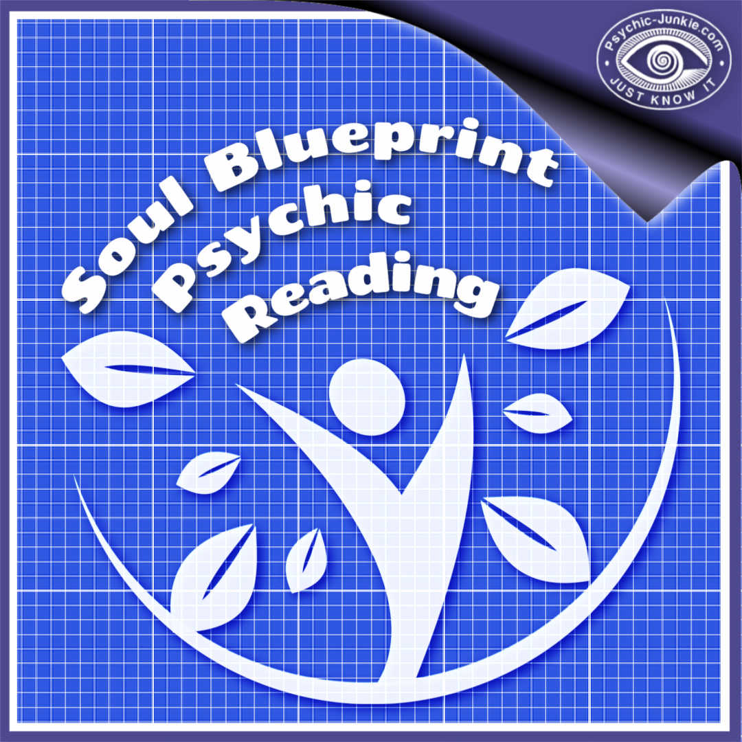 Soul Blueprint Psychic Readings Shine The Akashic Light On Your Path
